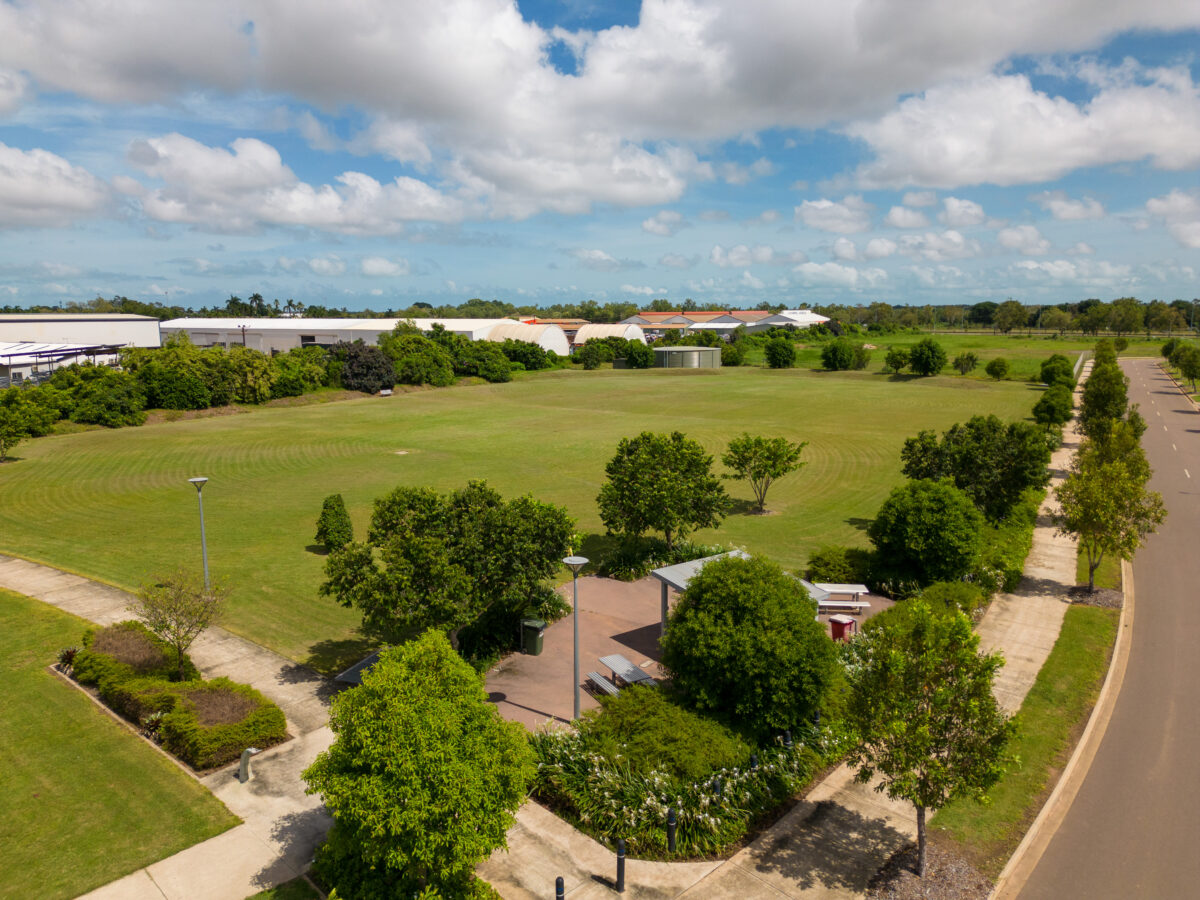 Development Archives - DCOH